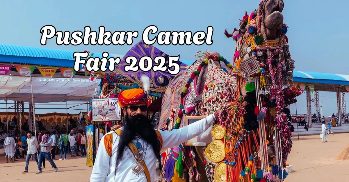 Pushkar Camel Fair 2025 Tour by Car – Book Private Taxi & Tour Packages