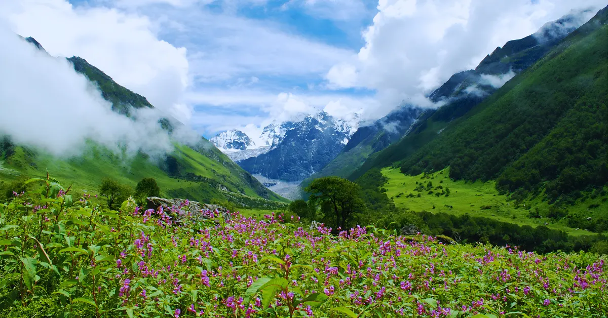 Valley of Flowers and Hemkund Sahib Tour Package from Delhi | 7 Days Trip